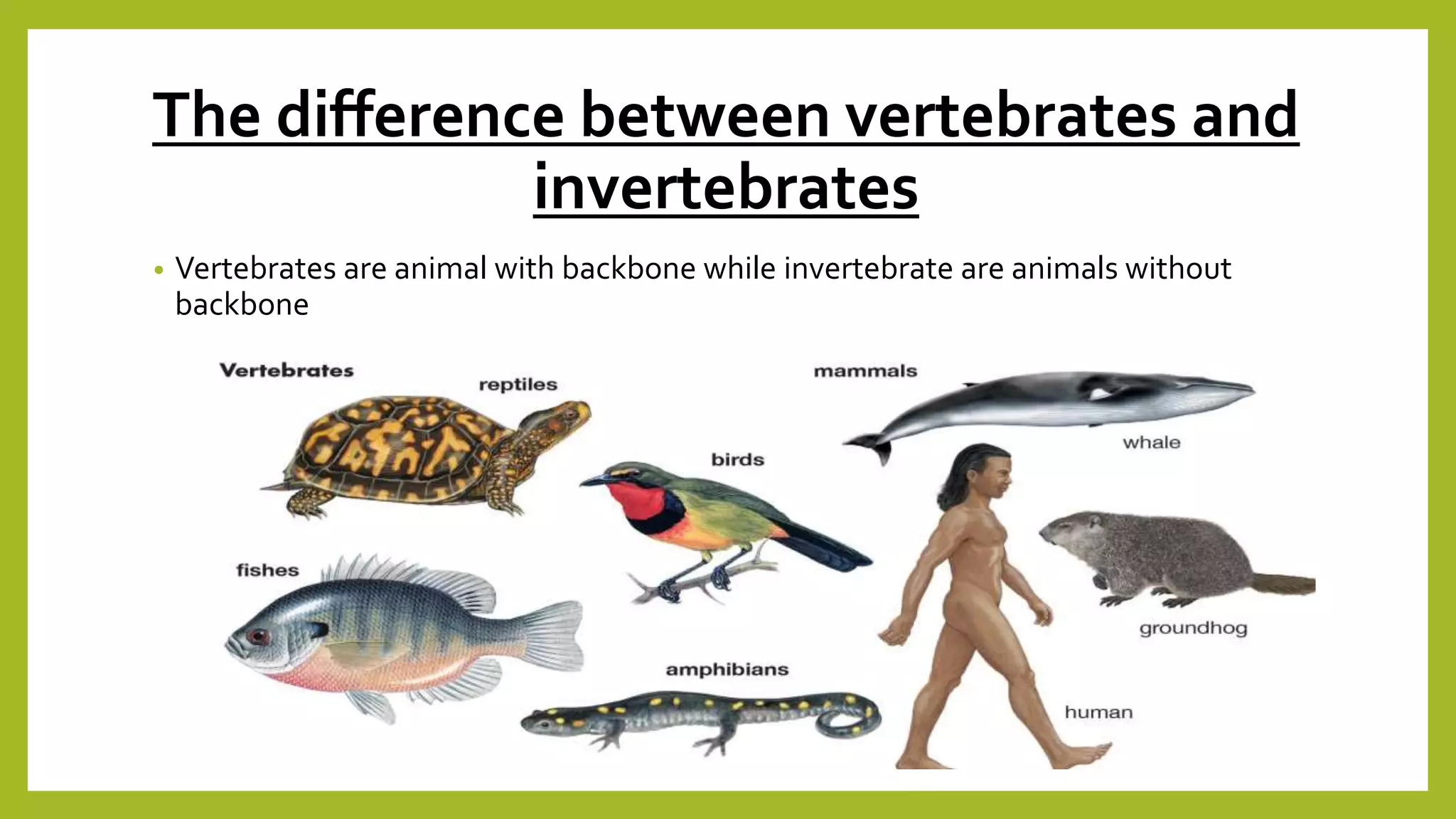 science powerpoint - Copy.pptx