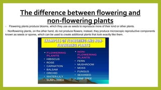 science powerpoint - Copy.pptx
