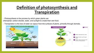 science powerpoint - Copy.pptx