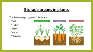 science powerpoint - Copy.pptx