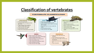 science powerpoint - Copy.pptx