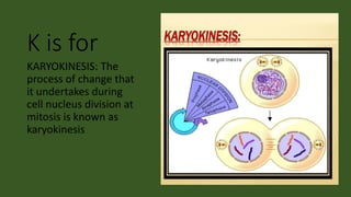 Science power point abc book | PDF
