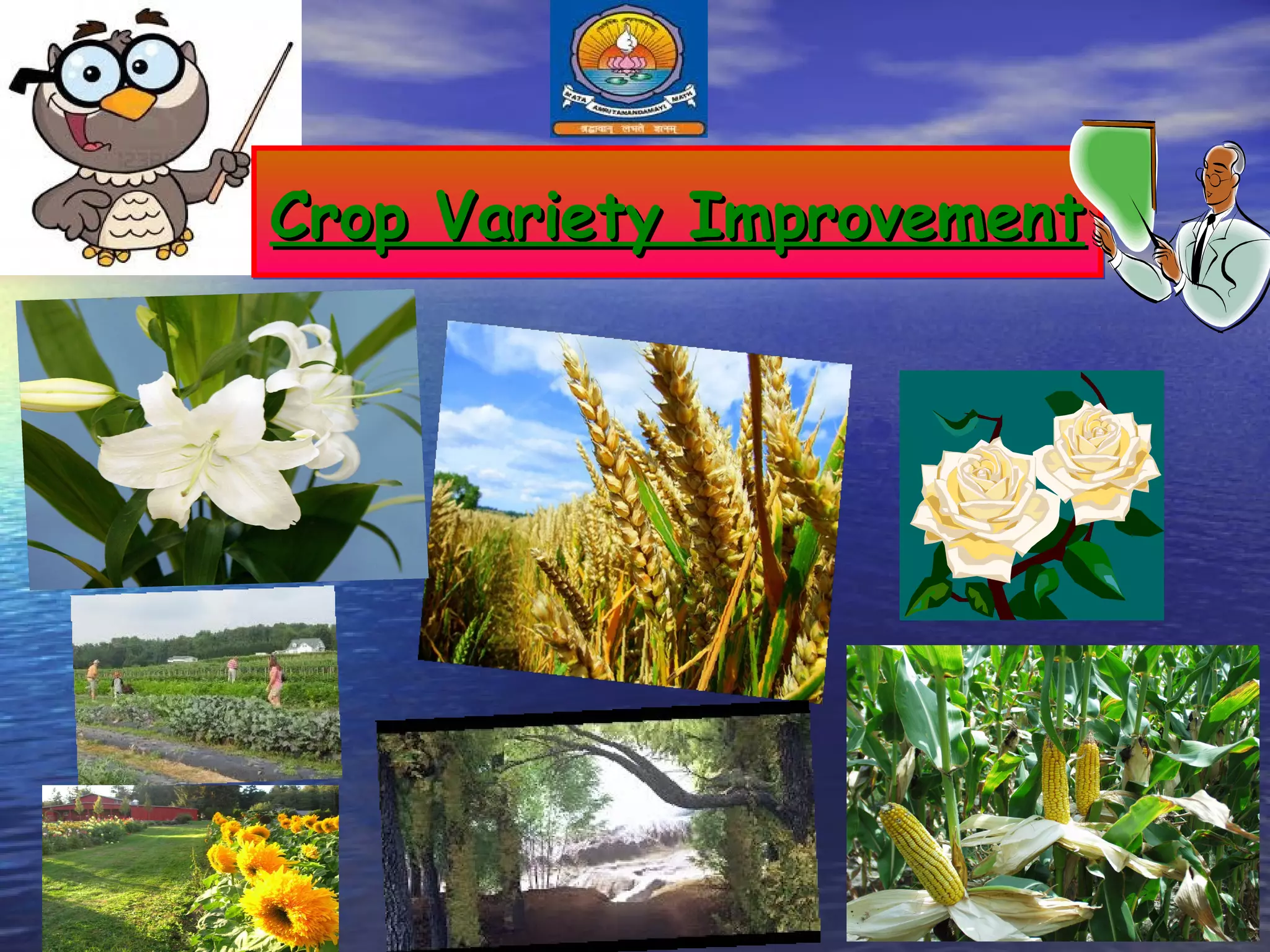 Crop variety improvement | PPT