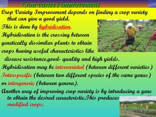 Crop variety improvement | PPT