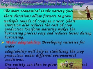 Crop variety improvement | PPT