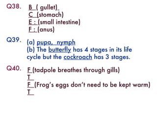 Science pp3 -ppt | PPT | Gardening | Home & Garden