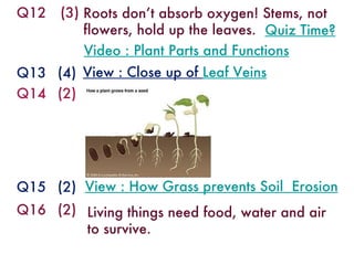Science pp3 -ppt | PPT