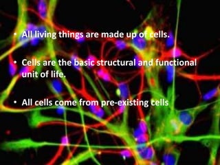 Cell Organelles ppt | PPTX
