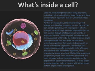 Cell Organelles ppt | PPTX
