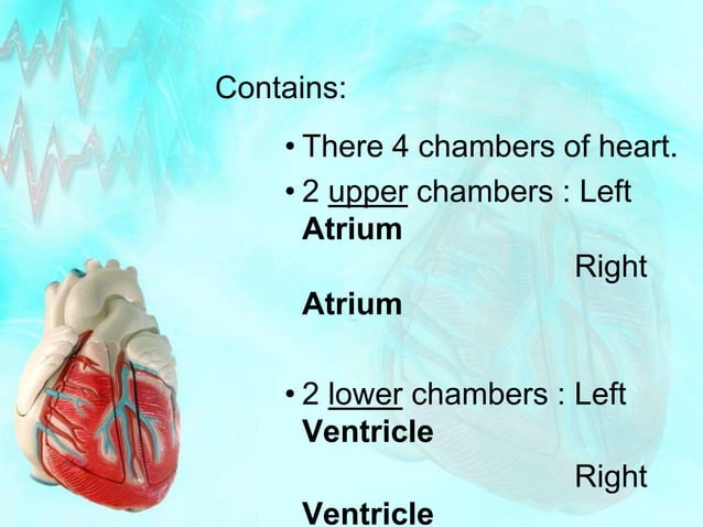 The Heart Science 7th class powerpoint presentation | PPTX | Heart and ...