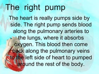The Heart Science 7th class powerpoint presentation | PPTX