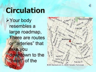 The Heart Science 7th class powerpoint presentation | PPTX