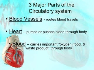 The Heart Science 7th class powerpoint presentation | PPTX