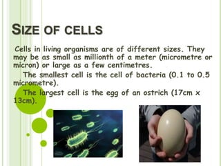 Science ppt | PPTX