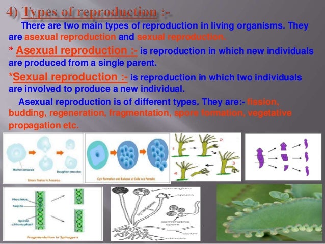 How do organisms reproduce