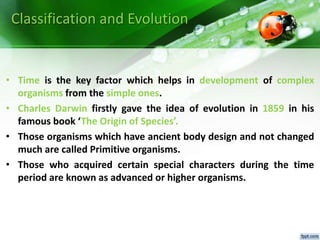 Diversity in Living Organism | PPTX
