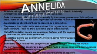 PROPERTIES AND CHARACTERISTICS OF THE ANIMAL KINGDOM | PPT