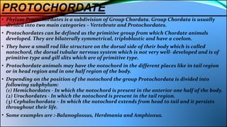 PROPERTIES AND CHARACTERISTICS OF THE ANIMAL KINGDOM | PPT