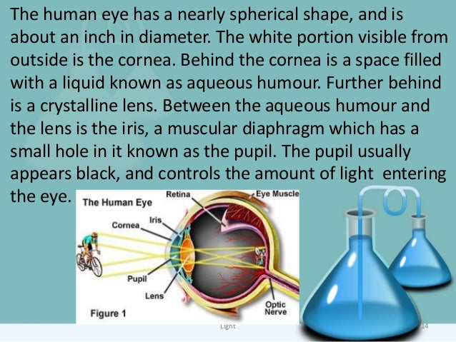 Light PPT For Class 7 & 8 CBSE