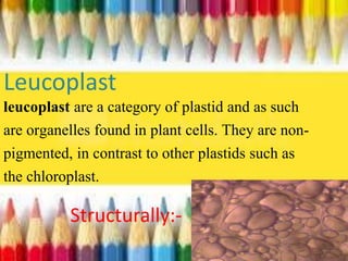 plastids | PPT