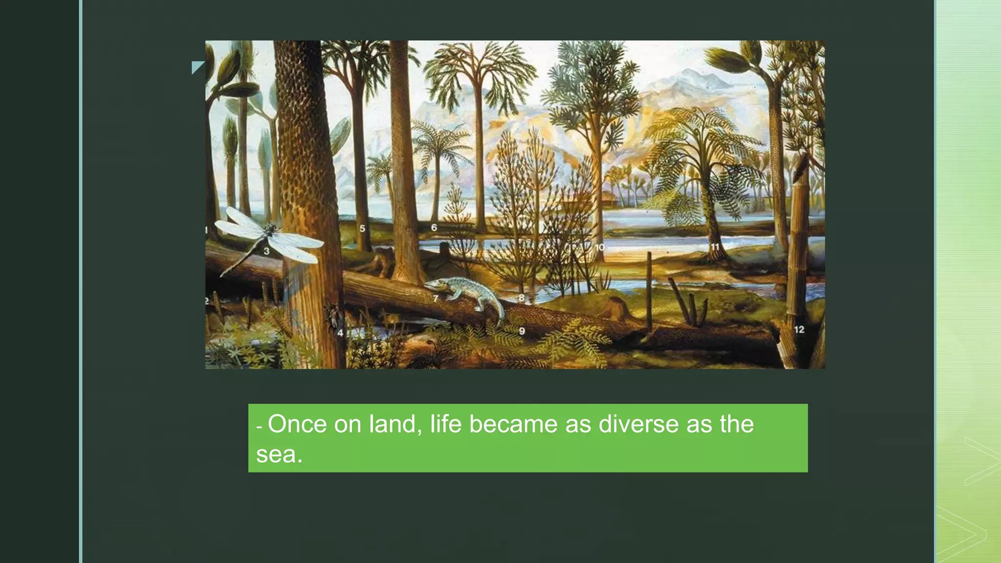 WHAT IS PALEOZOIC ERA? | PPTX