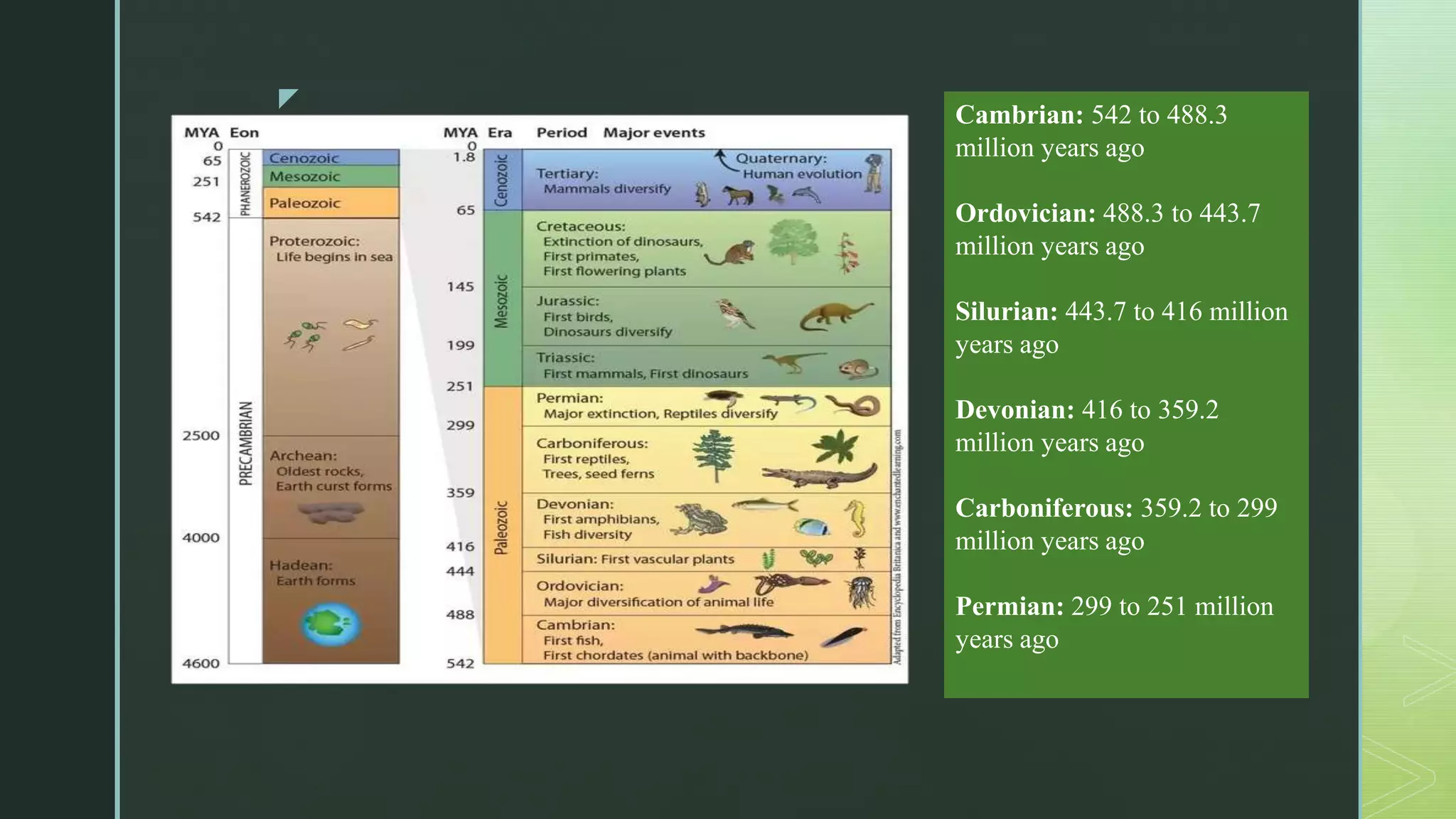 WHAT IS PALEOZOIC ERA? | PPTX