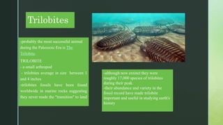 WHAT IS PALEOZOIC ERA? | PPTX