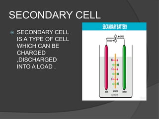 Science ppt for b.ed | PPTX