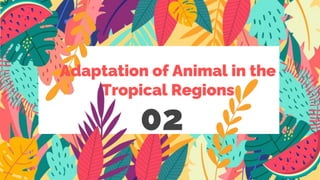 tropical region climate and adaptation in animals | PPTX