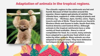 tropical region climate and adaptation in animals | PPTX