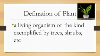 Science ppt | PPTX