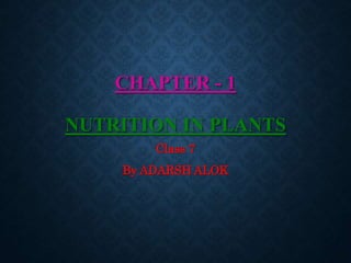 Nutrition in Plants.ppt