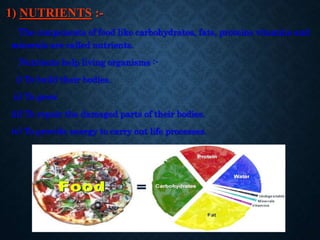 Nutrition in Plants.ppt