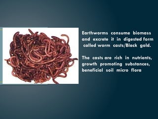 vermicompost presentationscience ppt.pptx