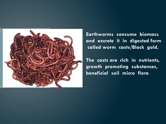 vermicompost presentationscience ppt.pptx