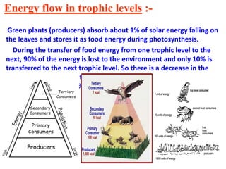 Science ppt by ankit | PPT