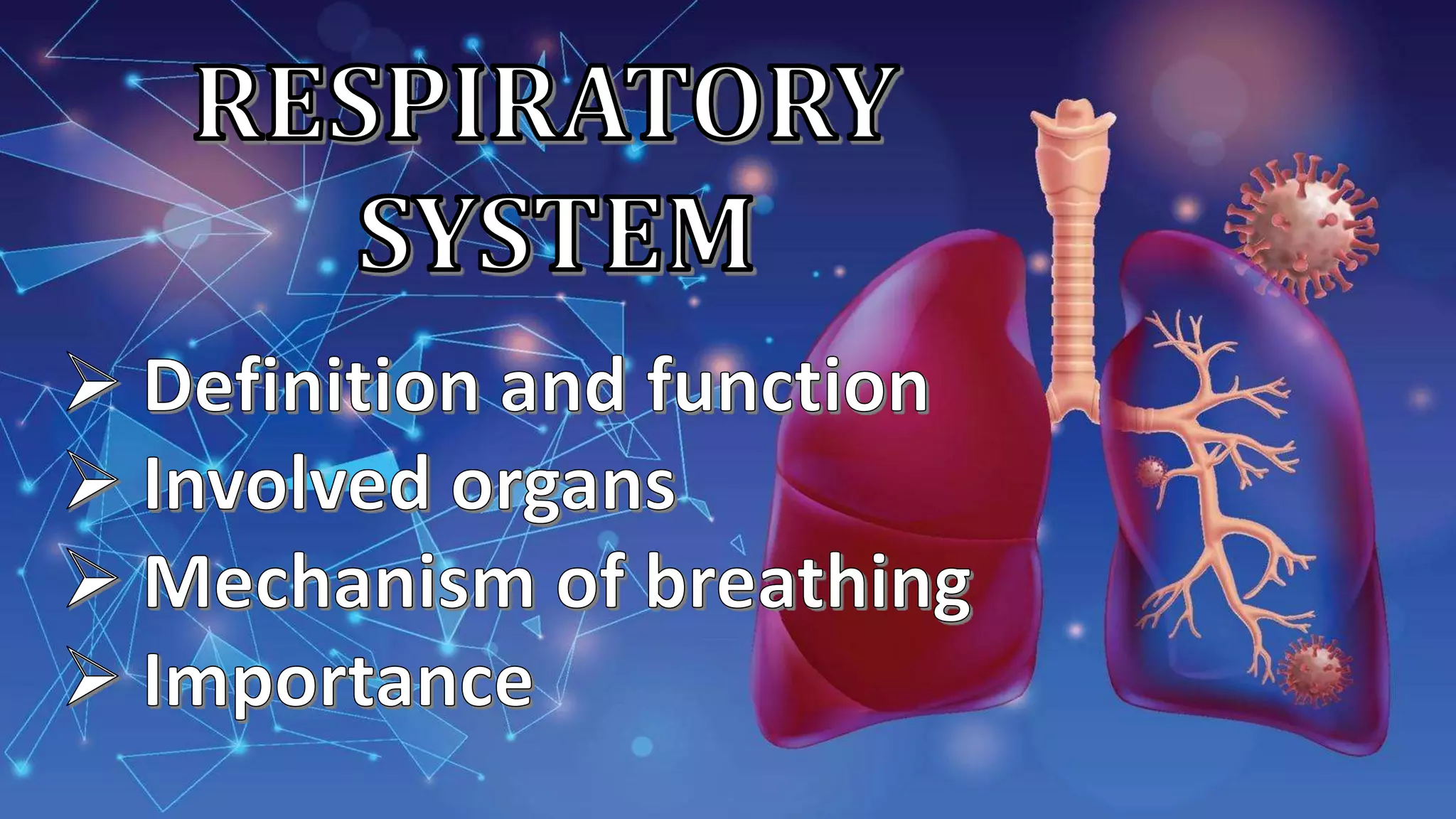 Respiratory System Grade 9 Science.pptx