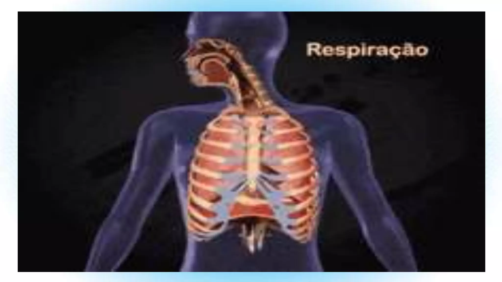 Respiratory System Grade 9 Science.pptx
