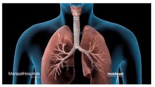 Respiratory System Grade 9 Science.pptx