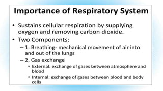 Respiratory System Grade 9 Science.pptx