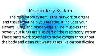 Respiratory System Grade 9 Science.pptx