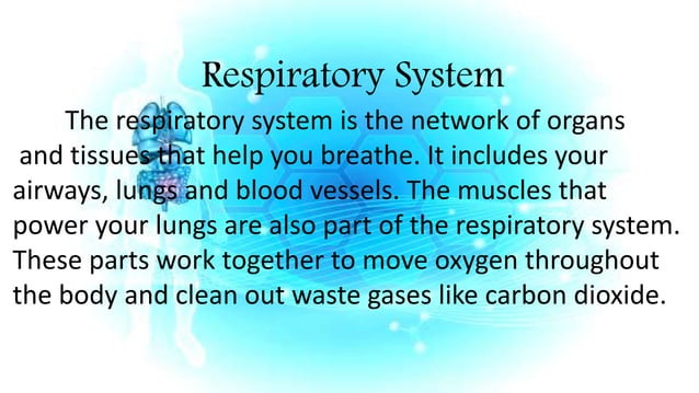 Respiratory System Grade 9 Science.pptx | Lung and Respiratory Health ...