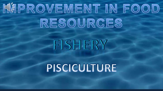FISH PRODUCTION | PPTX