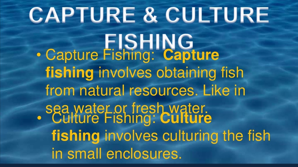 Fish Production And Management Techniques Farm-made Aquafeeds - all ...