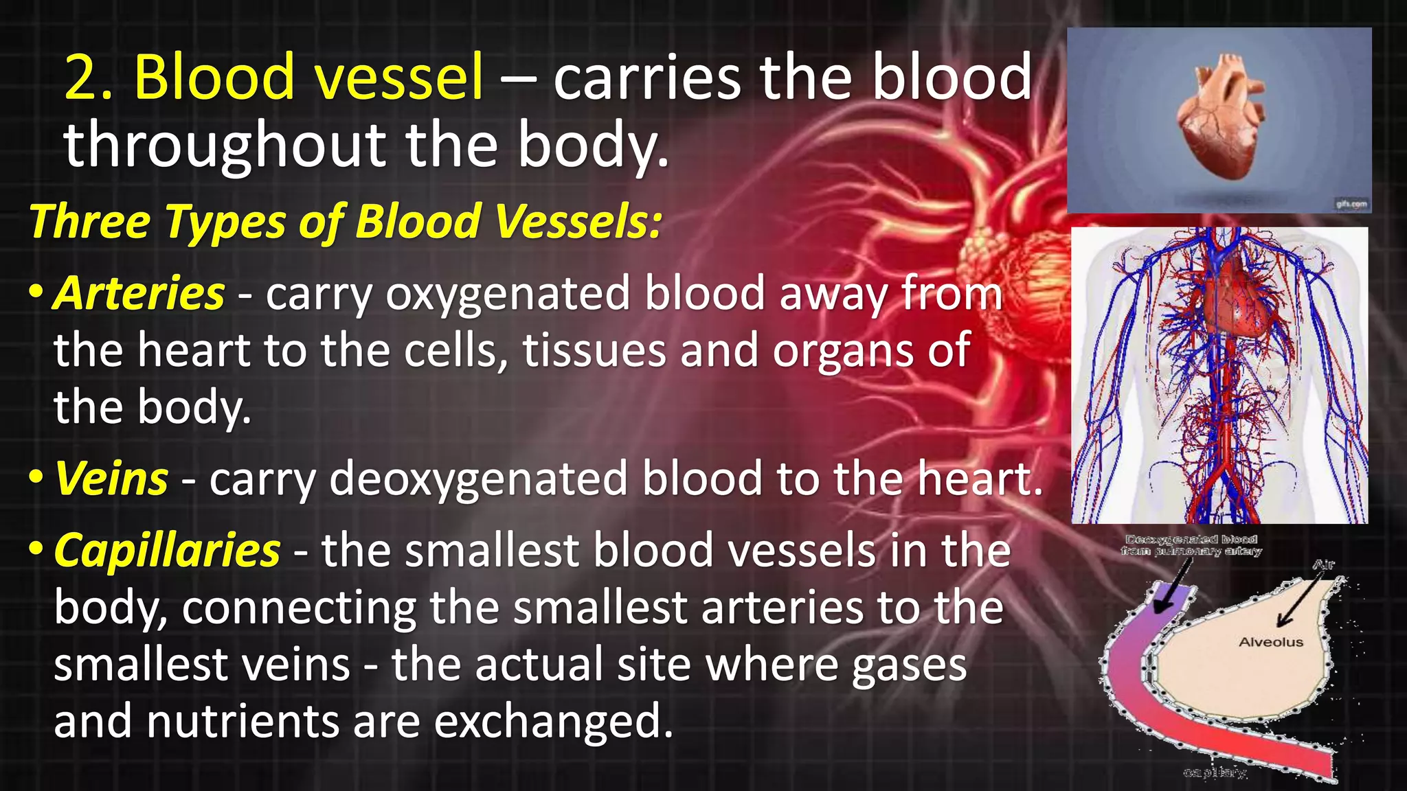 Science 9 Circulatory System | PPTX