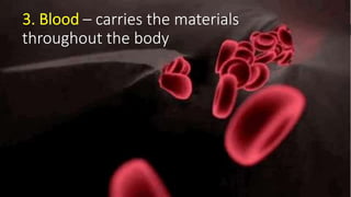 Science 9 Circulatory System | PPTX