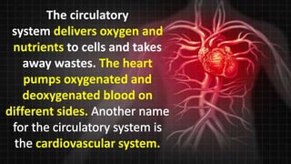 Science 9 Circulatory System | PPTX
