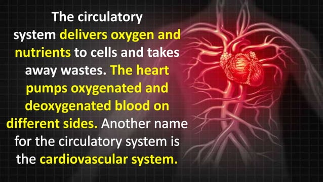 Science 9 Circulatory System | PPTX