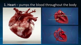 Science 9 Circulatory System | PPTX