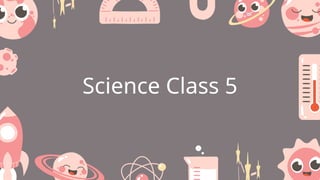 THE REPRODUCTIVE SYSTEM SCIENCE PPT GRADE V | PPTX